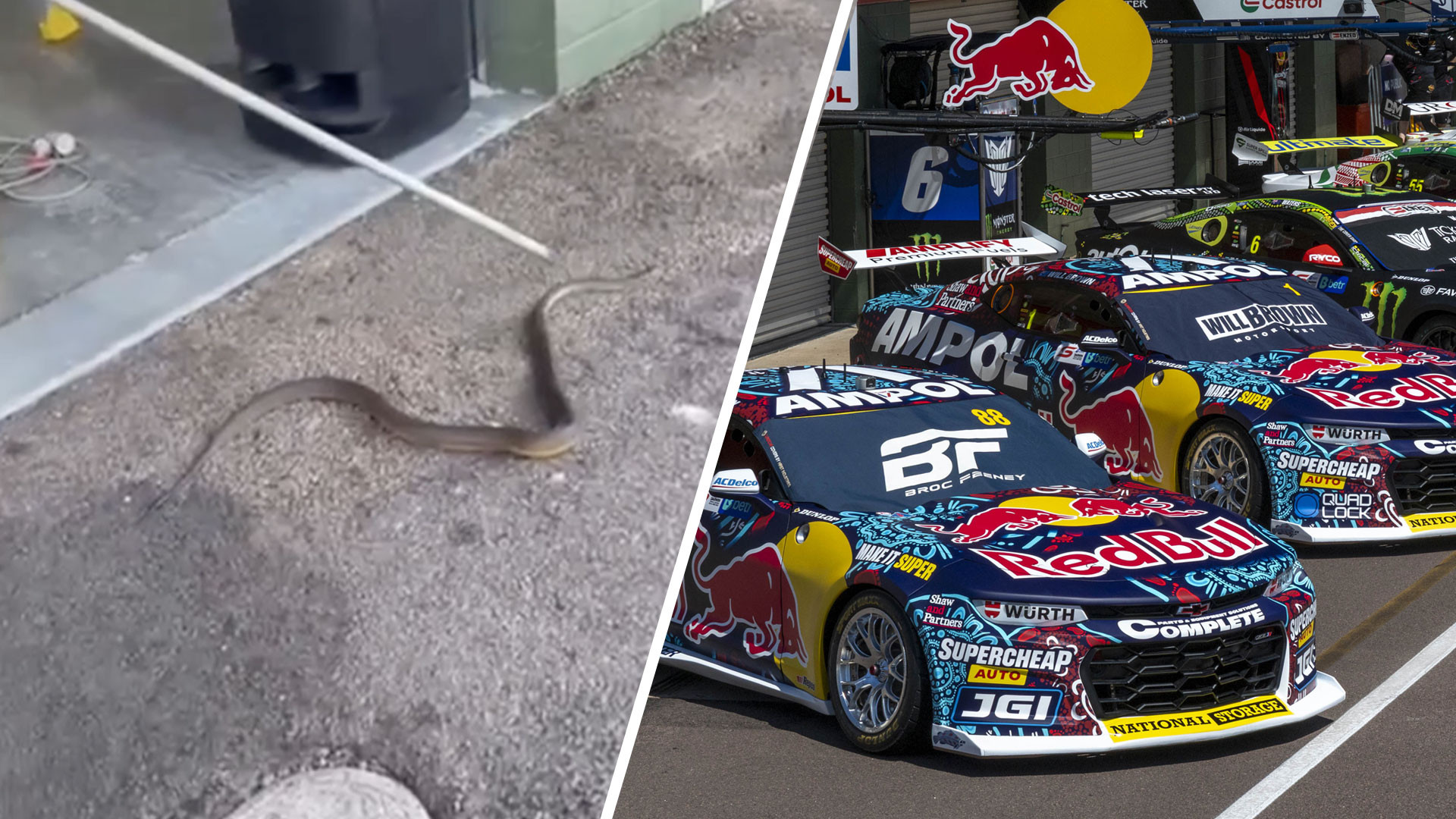 Supercars news: Mechanic ushered snake out of Darwin garage - Speedcafe.com