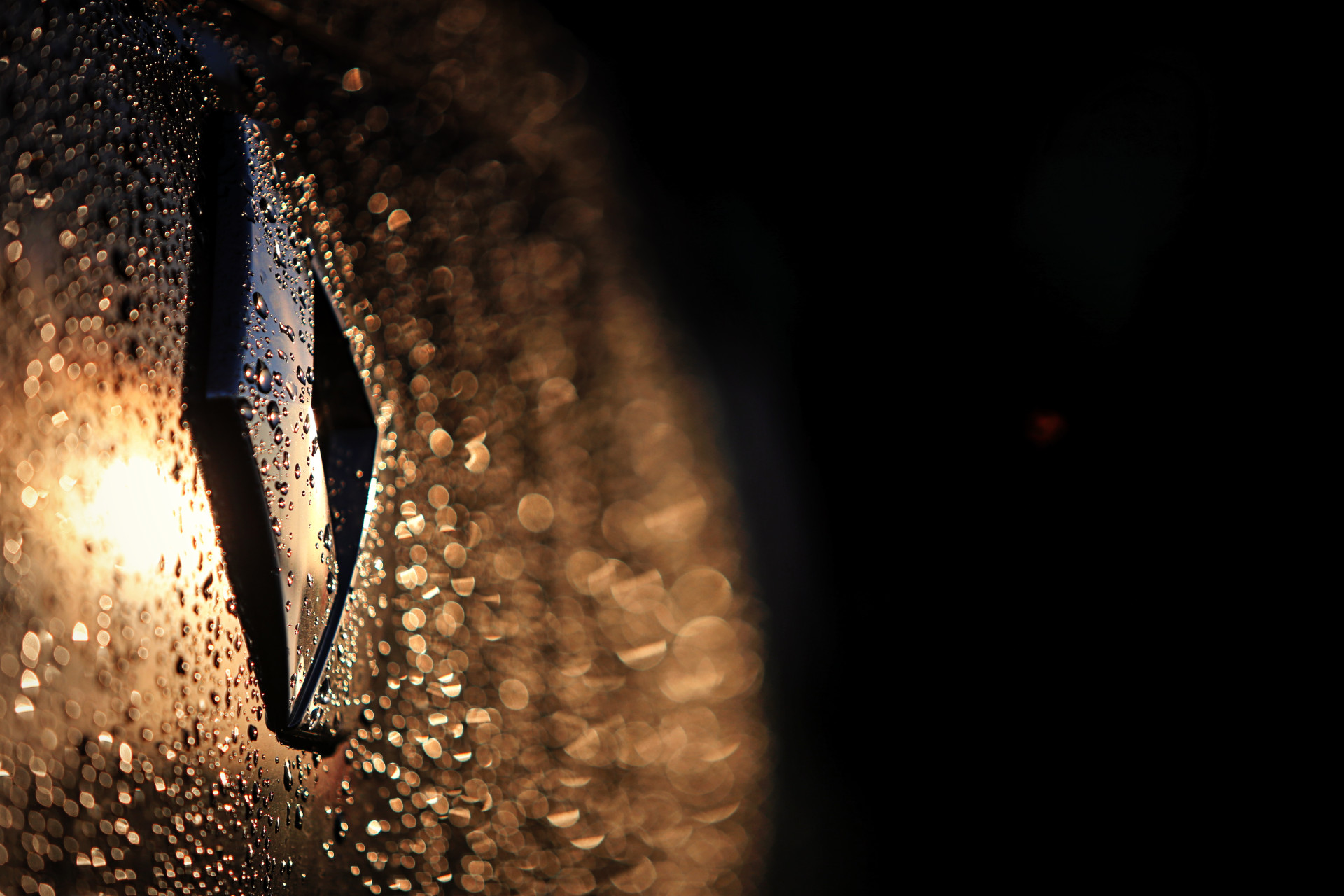 F1 news: Renault names Francois Provost as new CEO - Speedcafe.com