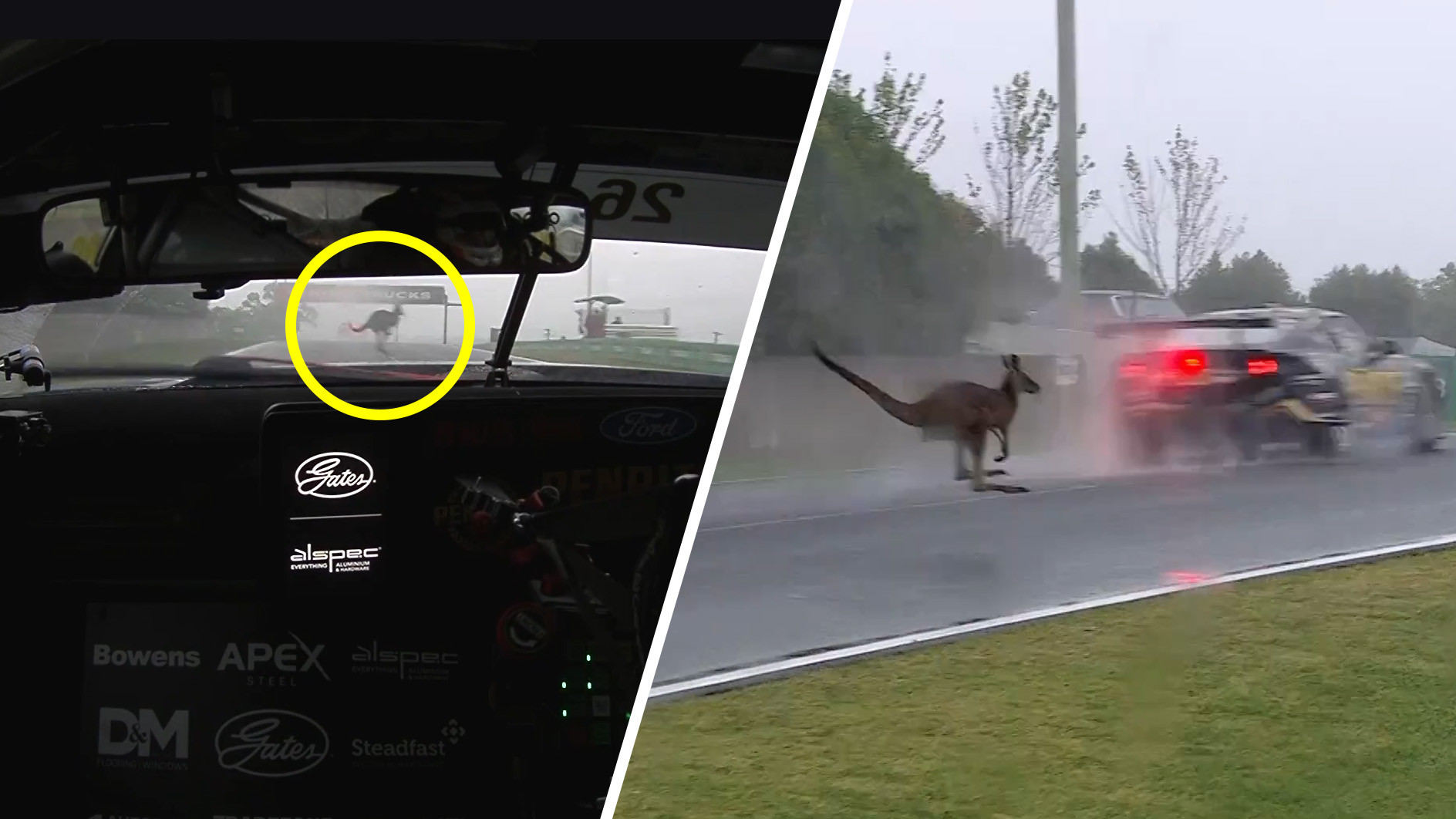 Supercars news: Bathurst 1000 kangaroo close call at 250km/h revealed - Speedcafe.com