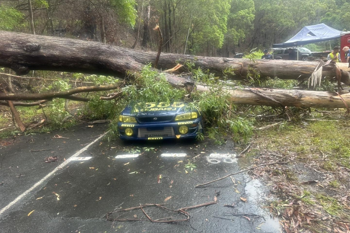 National news: Car crushed by fallen tree at hillclimb event ...